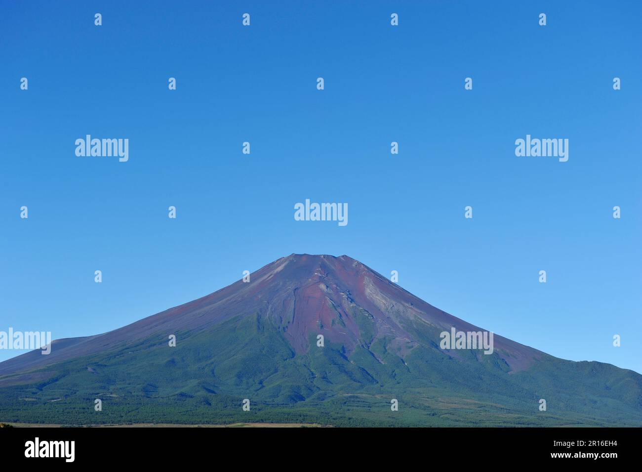 Mount Fuji in summer Stock Photo - Alamy