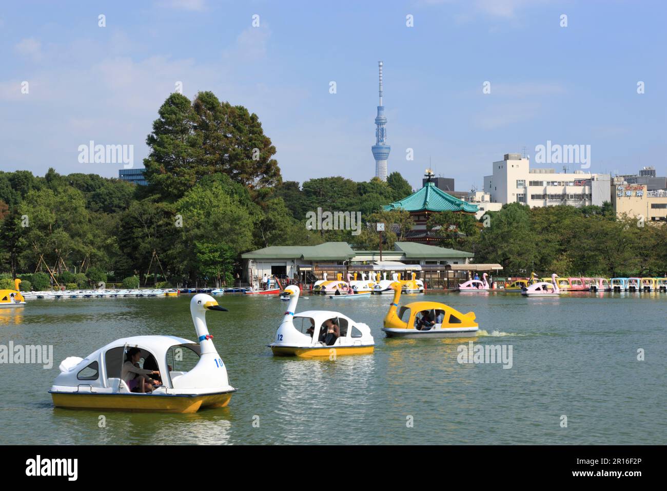 The Shinobazu pond Stock Photo - Alamy