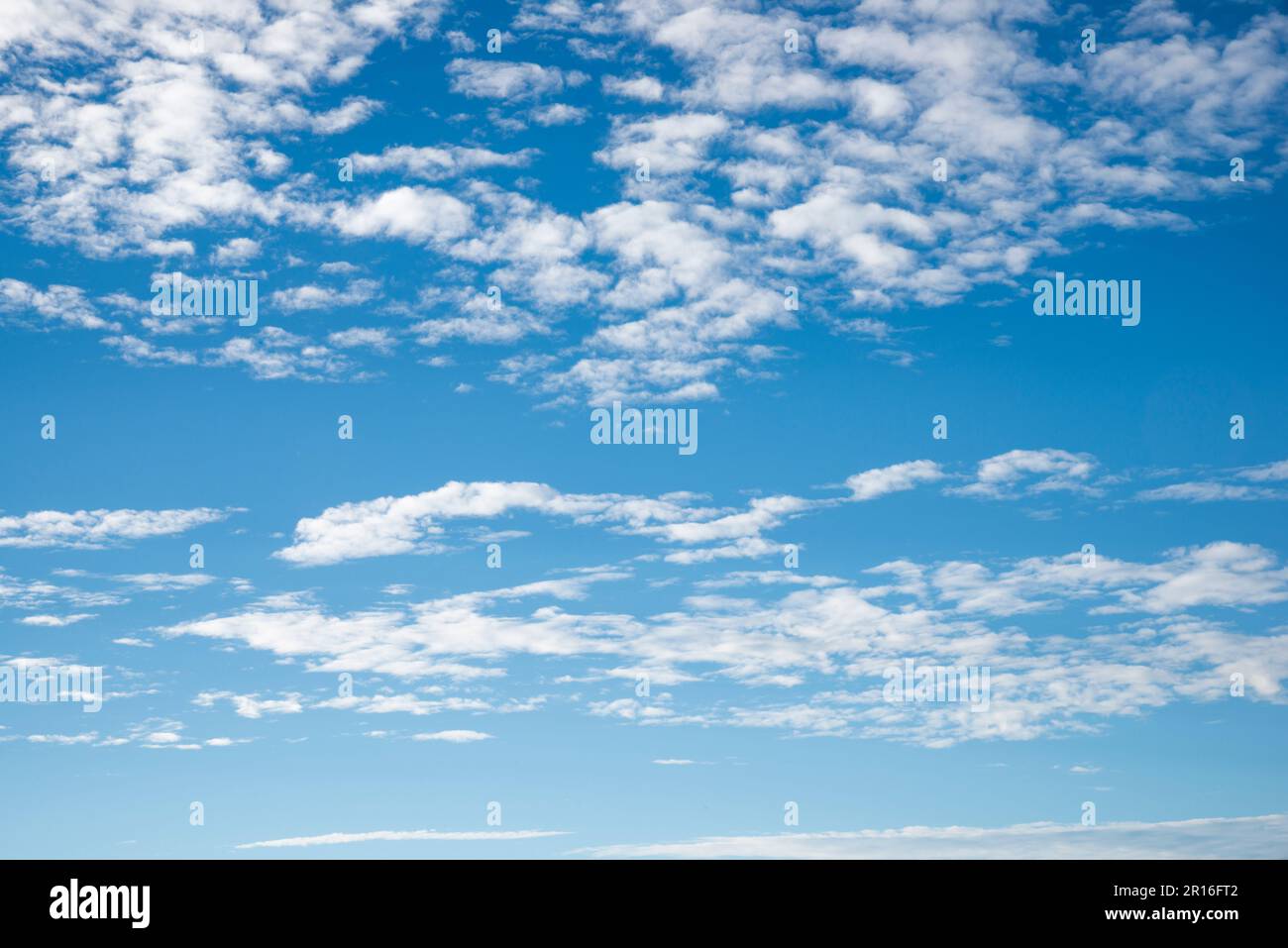 Akikumo hi-res stock photography and images - Alamy
