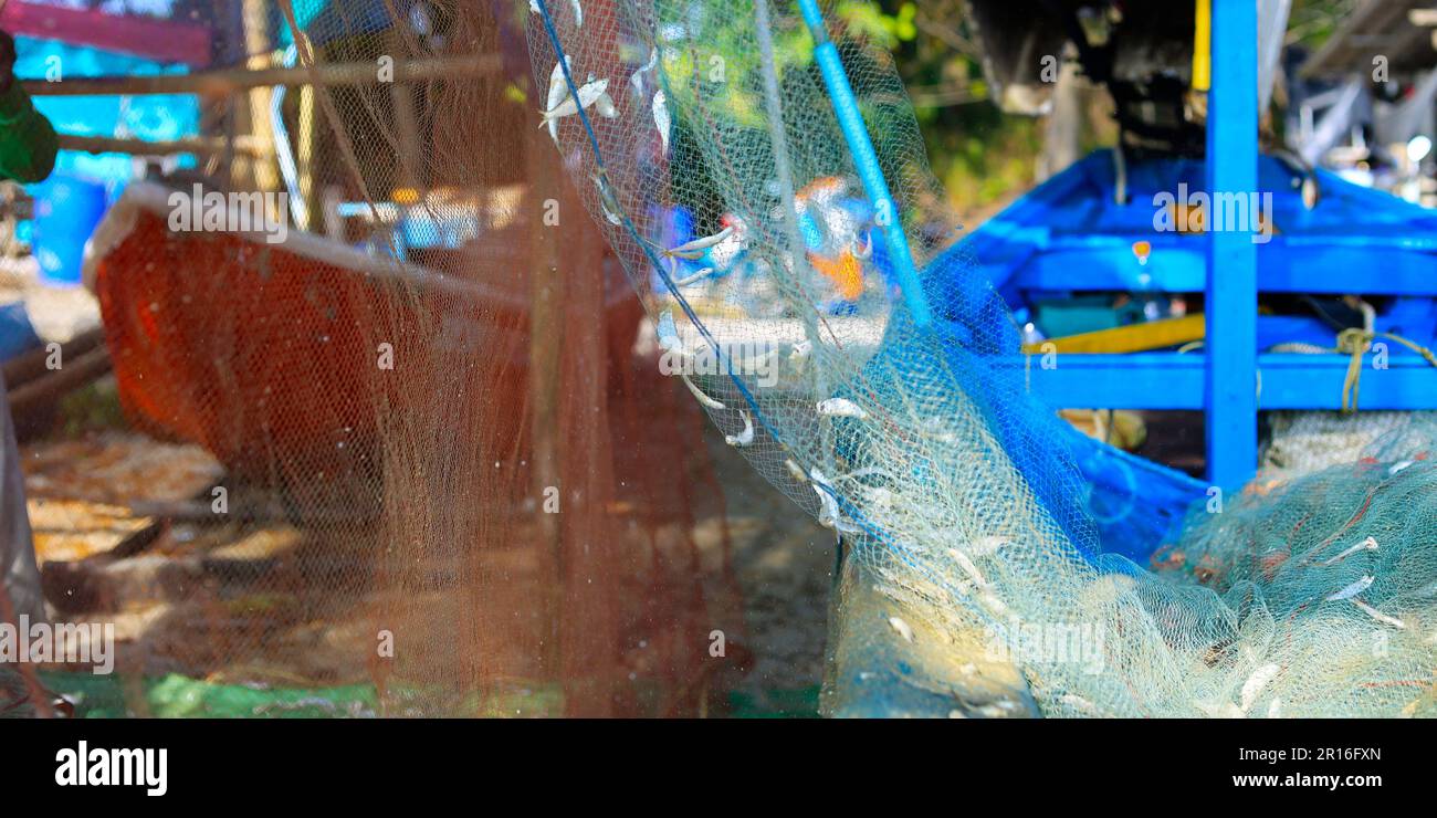 Aquaculture fishing industry thailand hi-res stock photography and ...