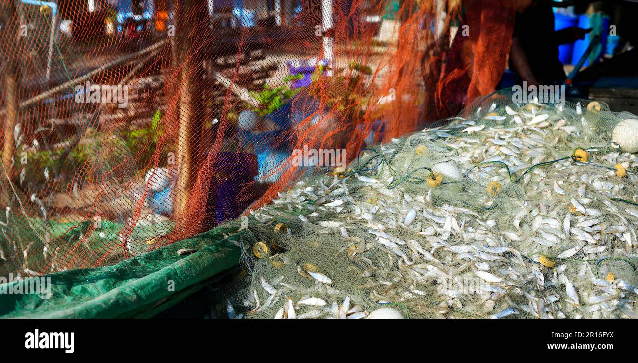 Aquaculture fishing industry thailand hi-res stock photography and ...