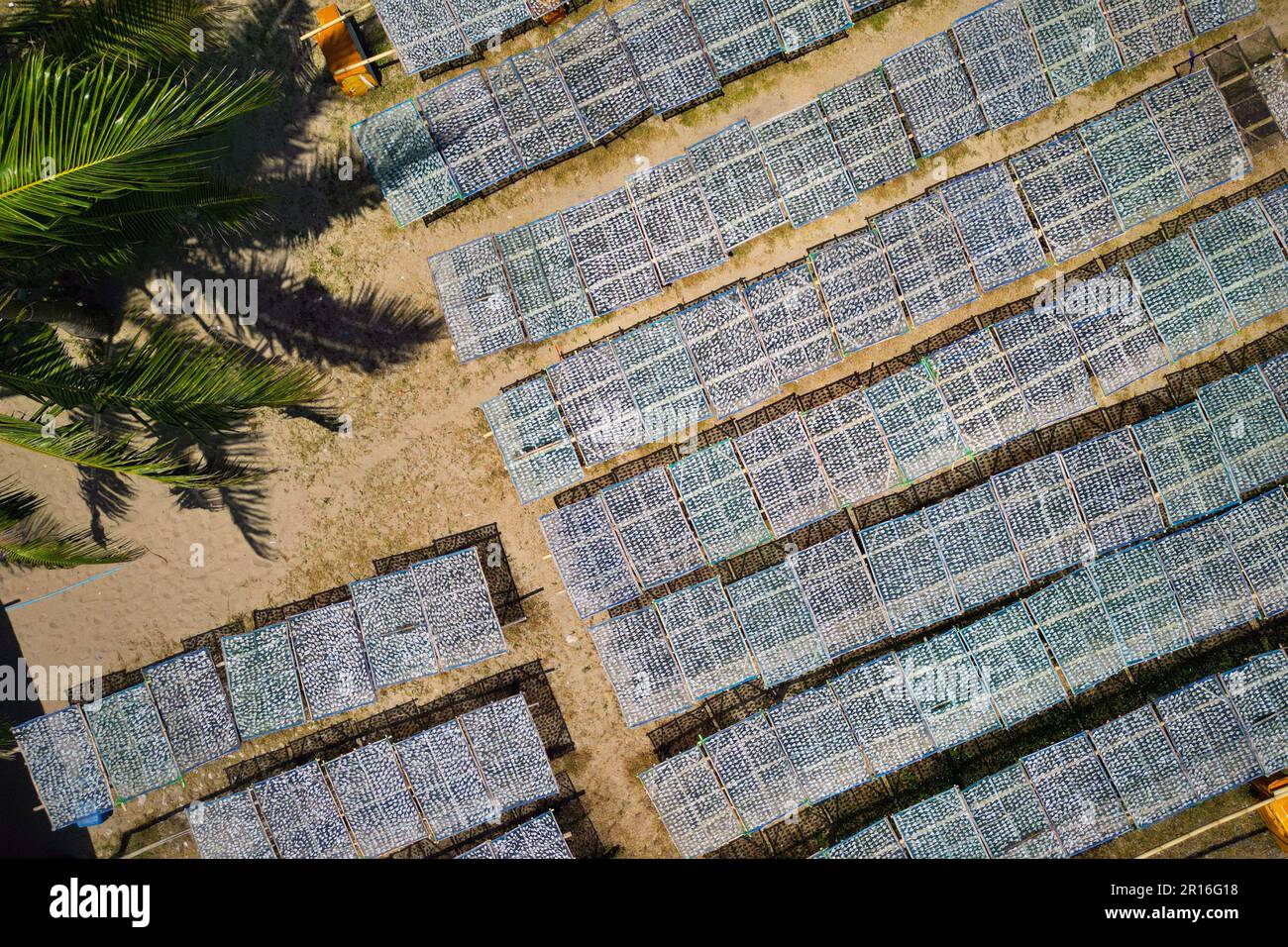 aerial view of fish farm during drying fish process Stock Photo - Alamy