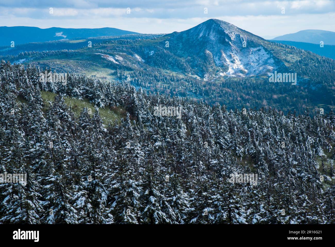 Forest rime hi-res stock photography and images - Alamy