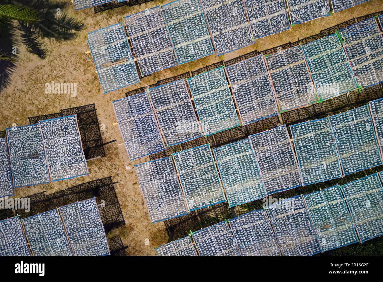 Fish drying process hi-res stock photography and images - Alamy
