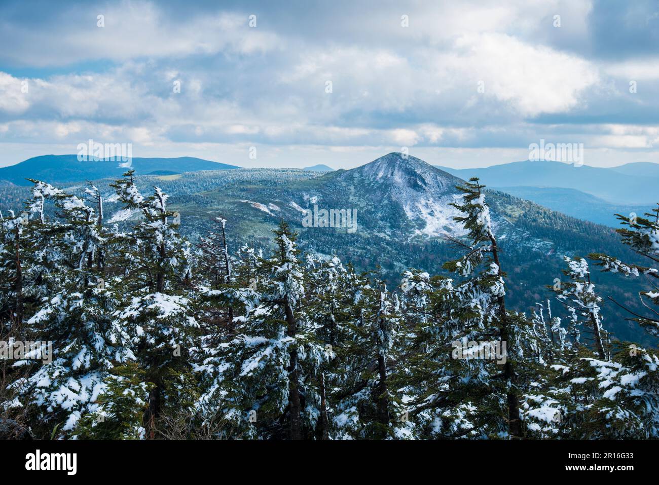 Forest rime hi-res stock photography and images - Alamy