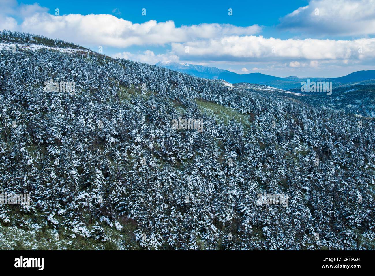 Forest rime hi-res stock photography and images - Alamy