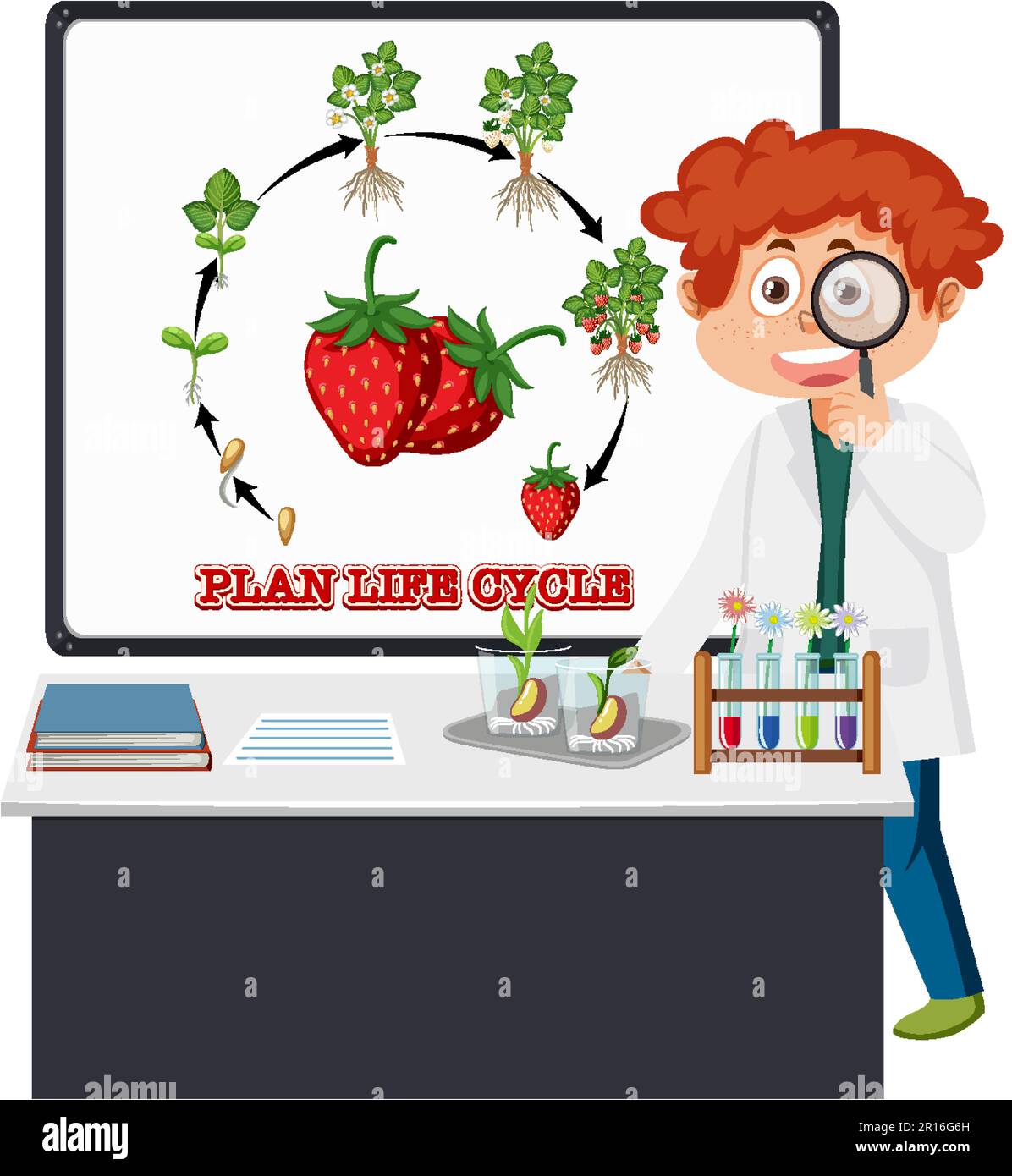 Kid explaining parts of a plant illustration Stock Vector Image & Art ...