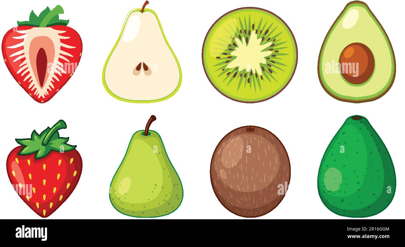 A collection of different fruits illustration Stock Vector Image & Art ...