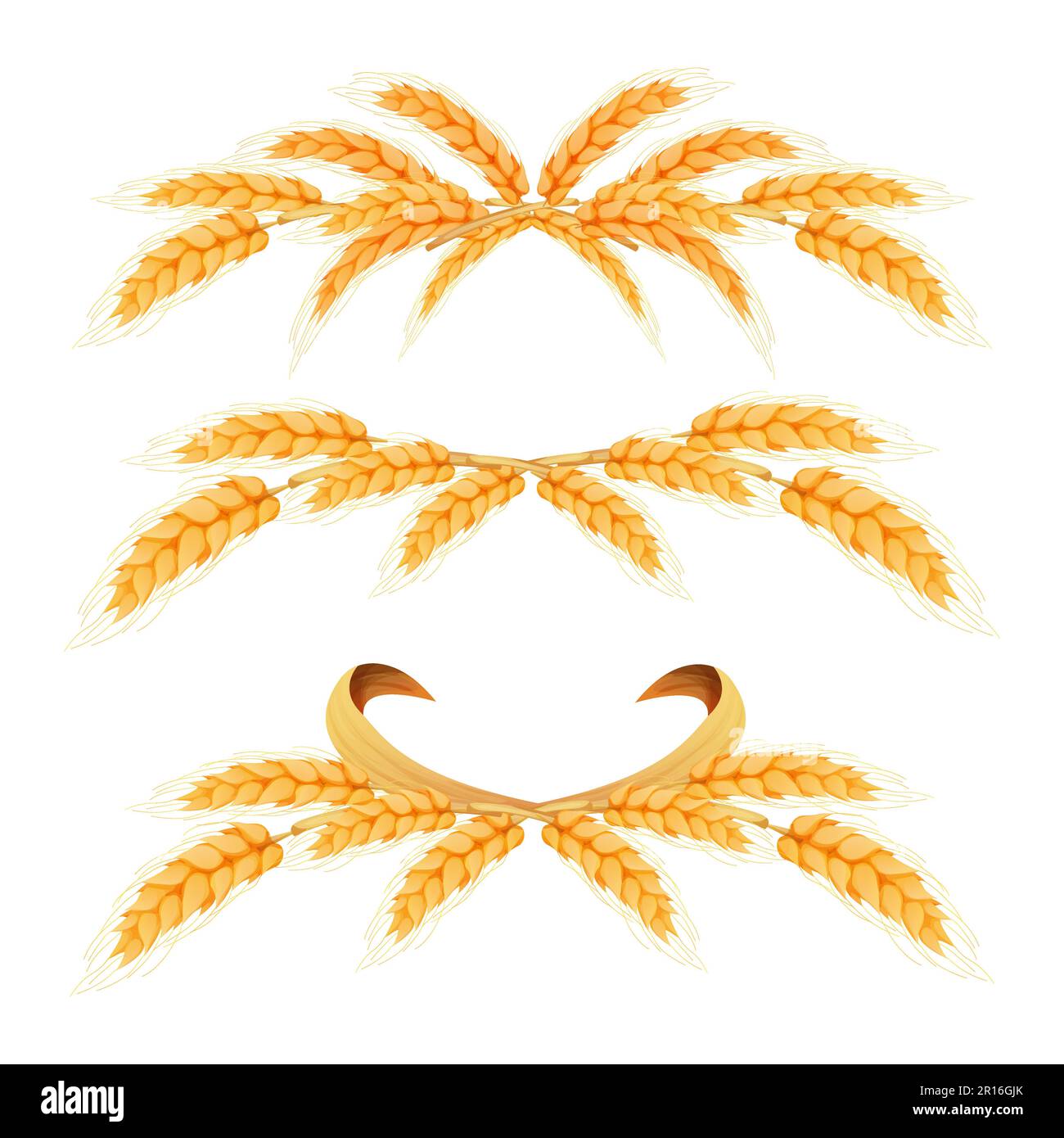 Wheat Vector Border