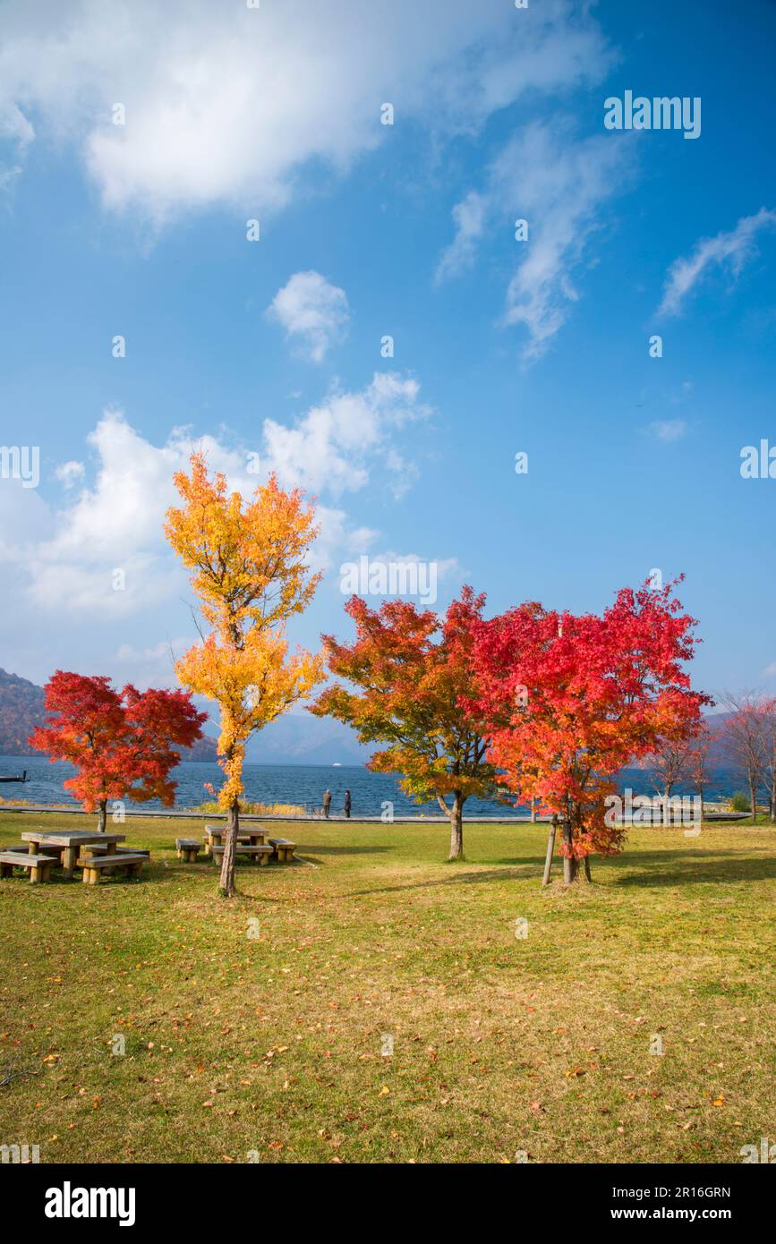 Lake Towadakohan autumn leaves at the park Stock Photo - Alamy