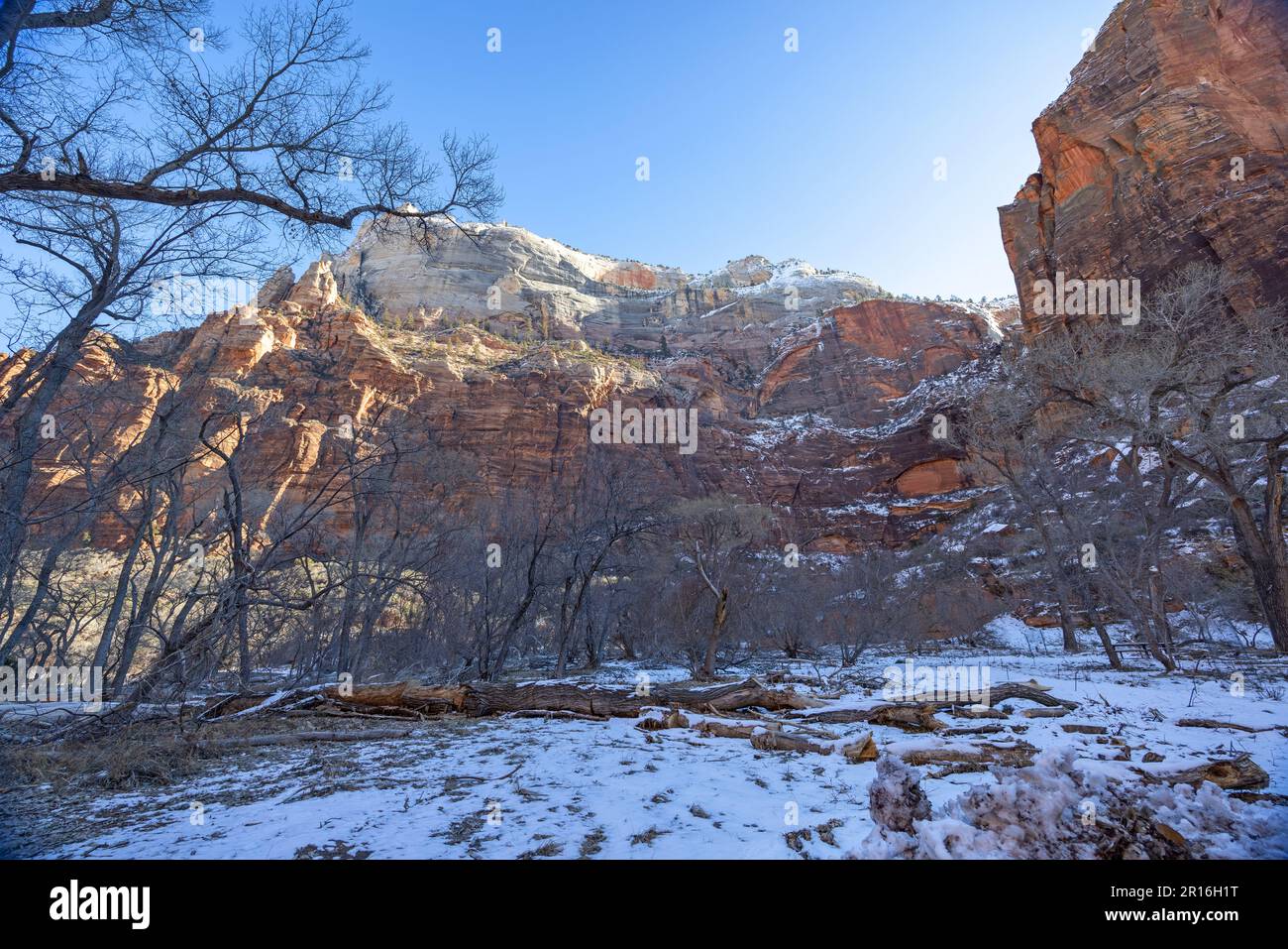 Angels landing trail view of Zion National Park in Springdale, Utah ...