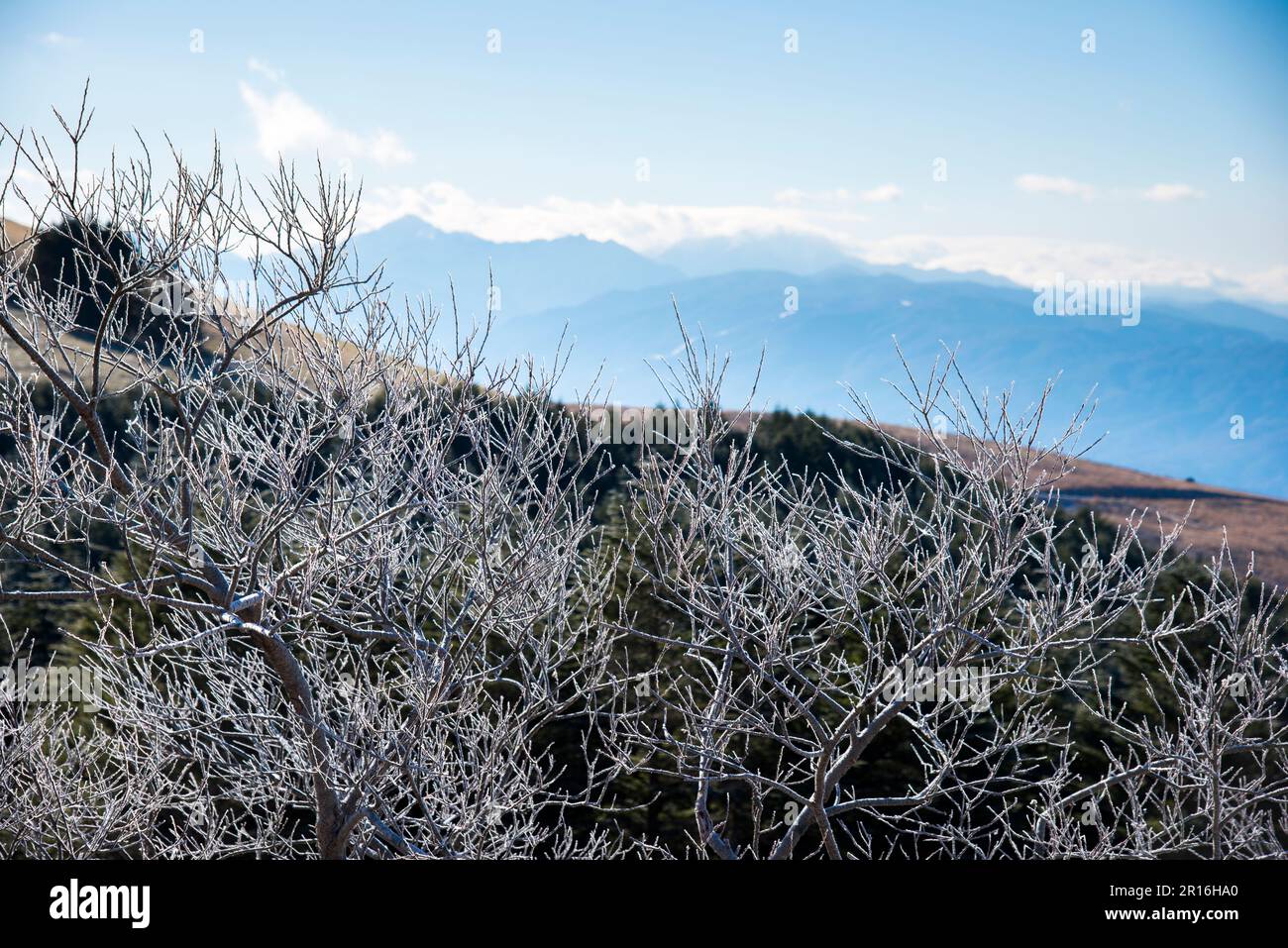 Hard rime hi-res stock photography and images - Alamy