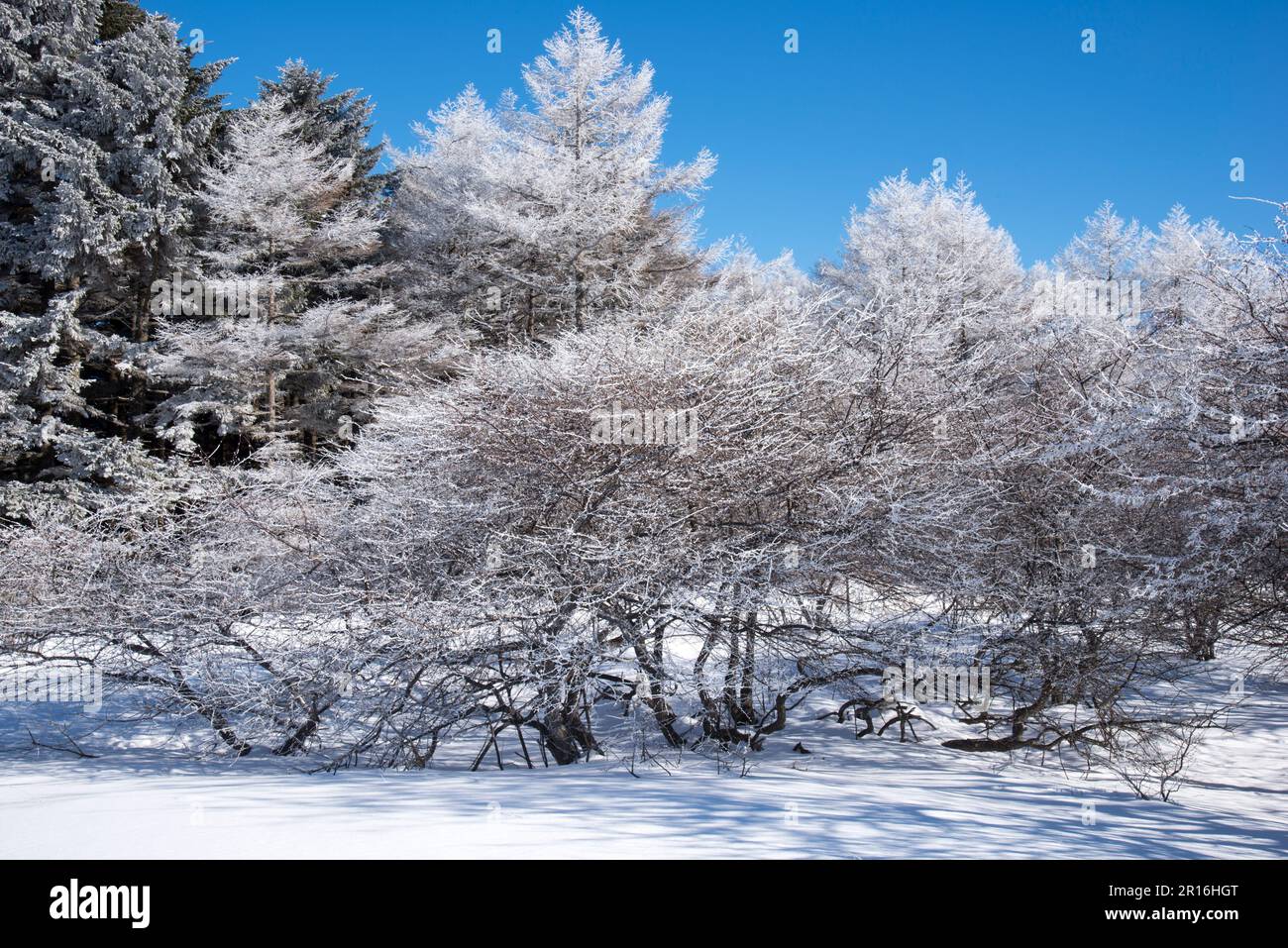 Plateau cold hi-res stock photography and images - Alamy