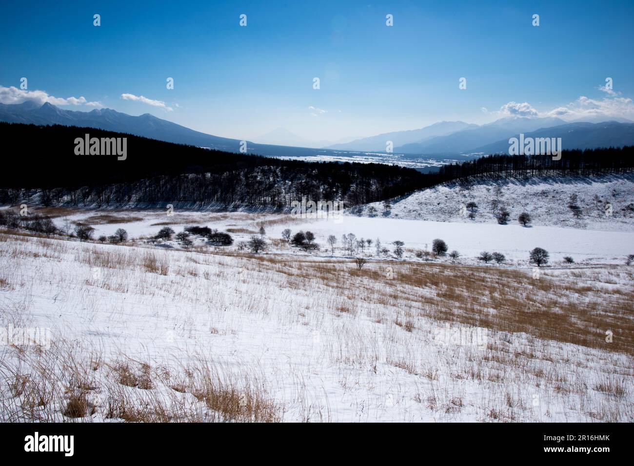 Kirigamine odoriba wetlands snow and Mt Yatsugatake, Mt Fuji and ...