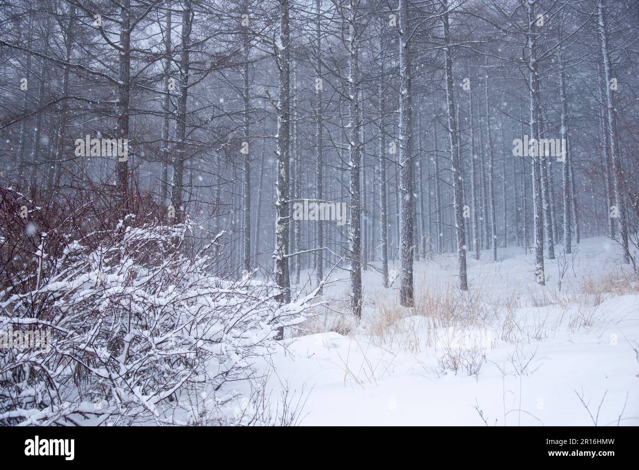 Unmanned snow scenery hi-res stock photography and images - Alamy