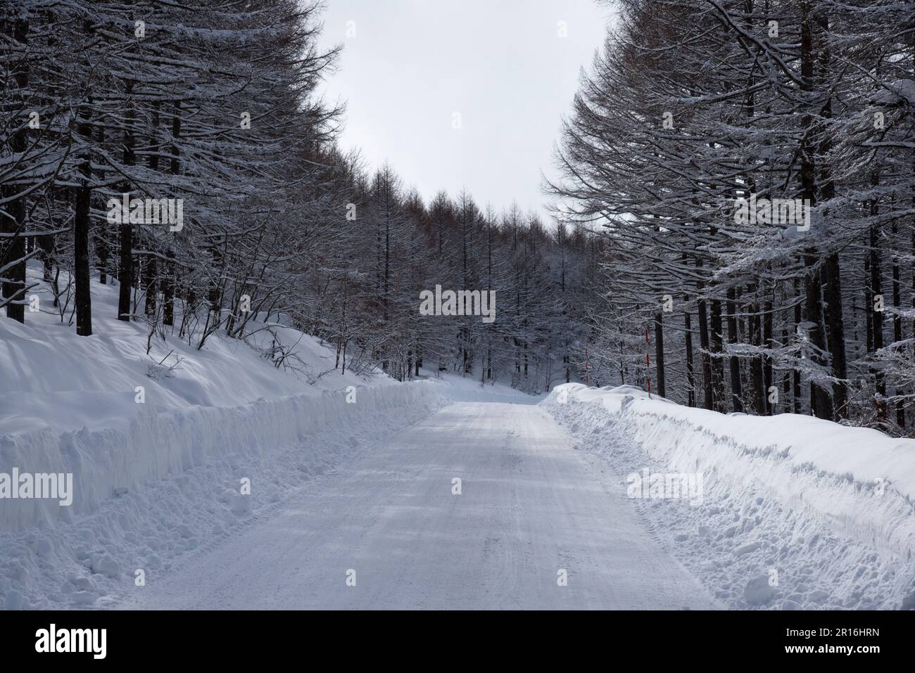 Yatsugatake plateau line hi-res stock photography and images - Alamy