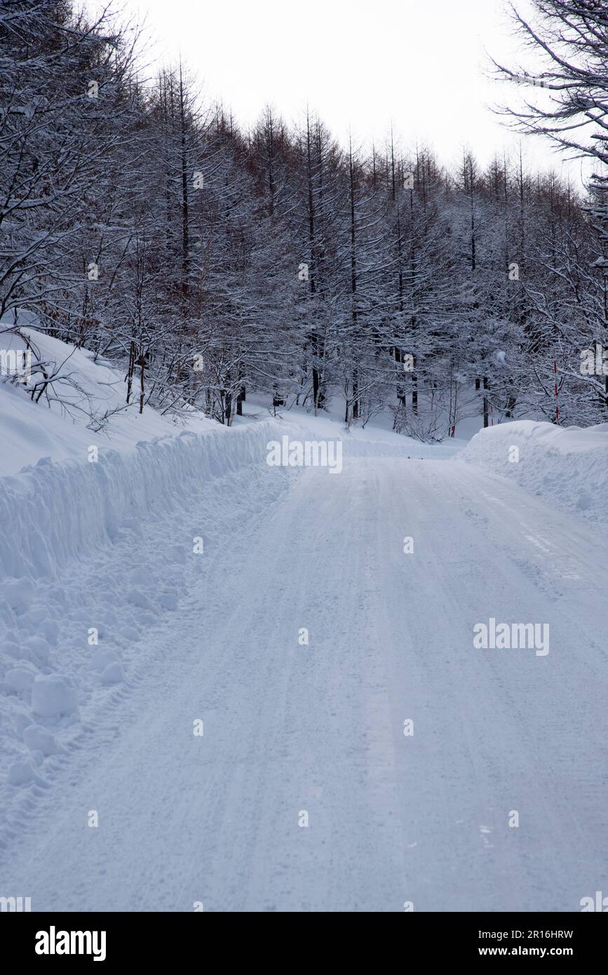 Snow on the Kirigamine Venus Line Stock Photo - Alamy