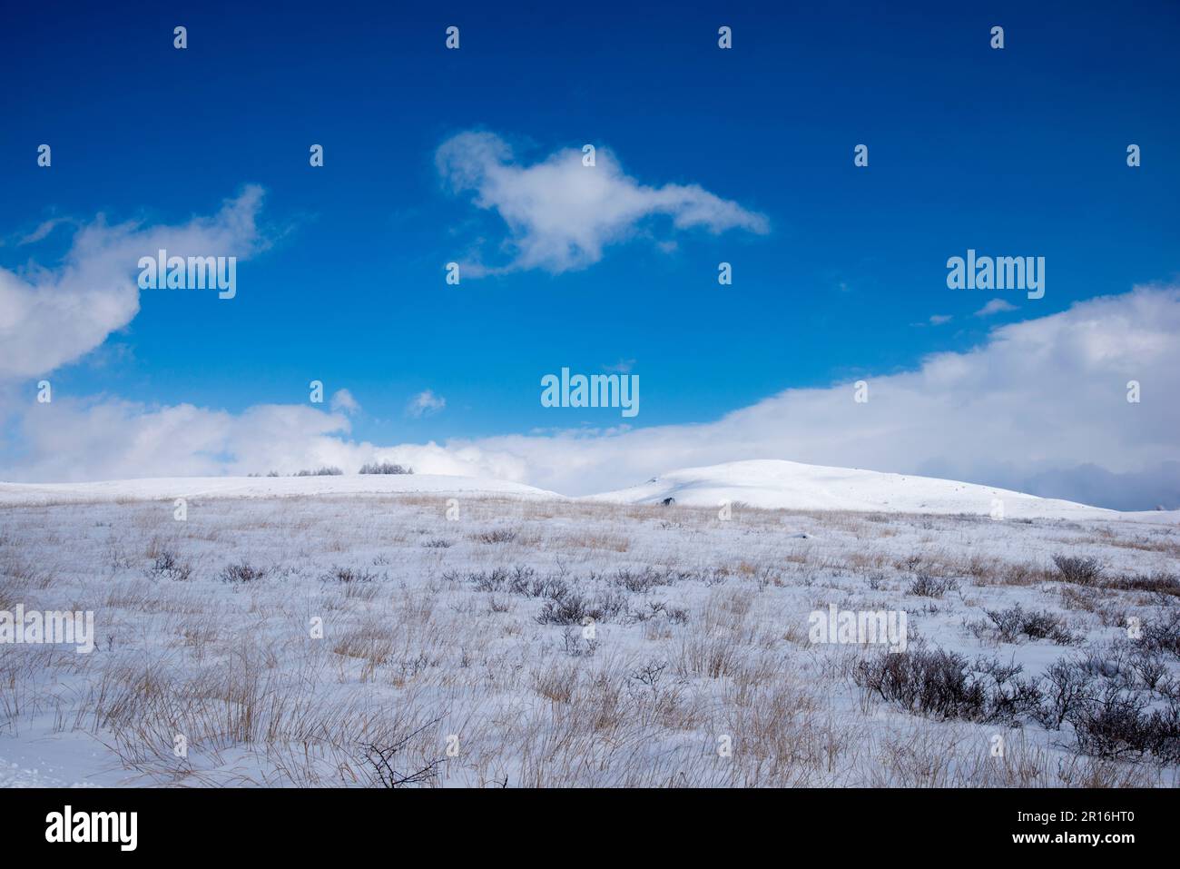 Plateau cold hi-res stock photography and images - Alamy