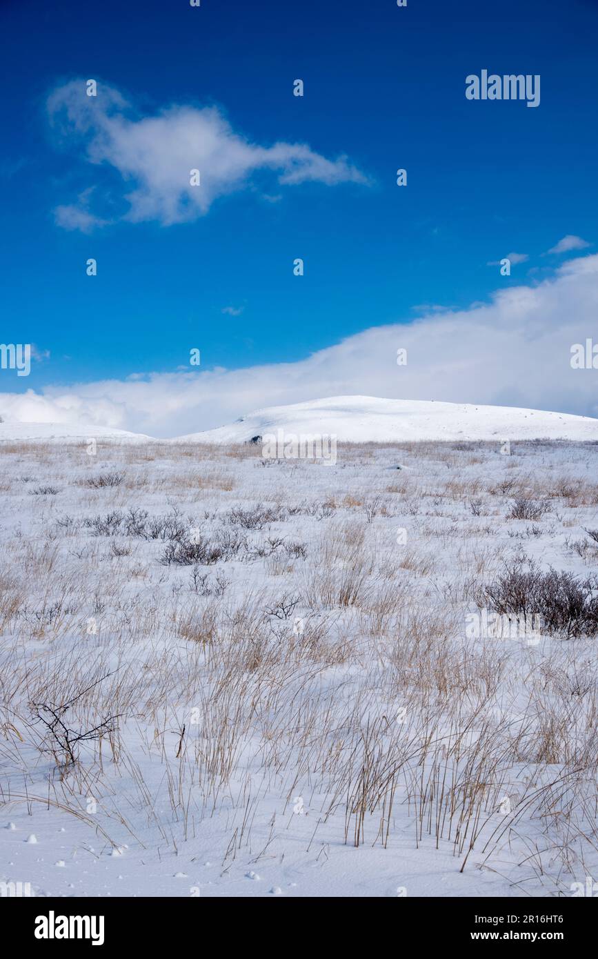 Plateau cold hi-res stock photography and images - Alamy