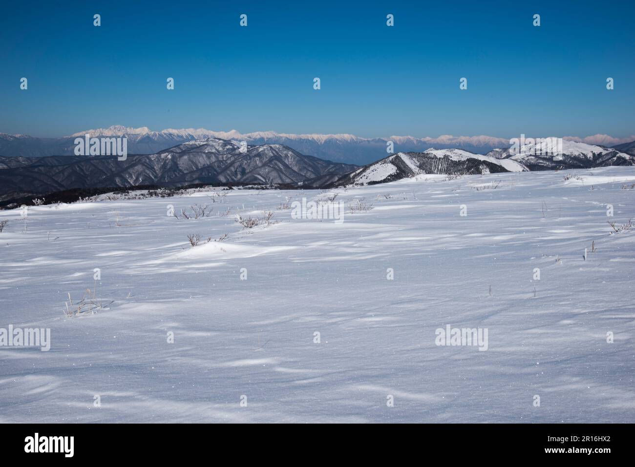Looking at the Northern Alps mountain range from a snowfield on the ...