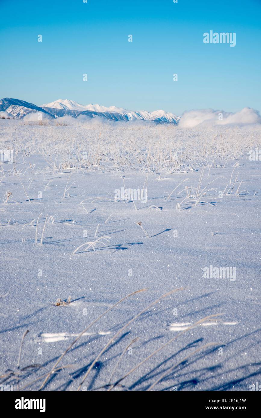 Snowfield and Hodaka mountain range with rime Stock Photo - Alamy