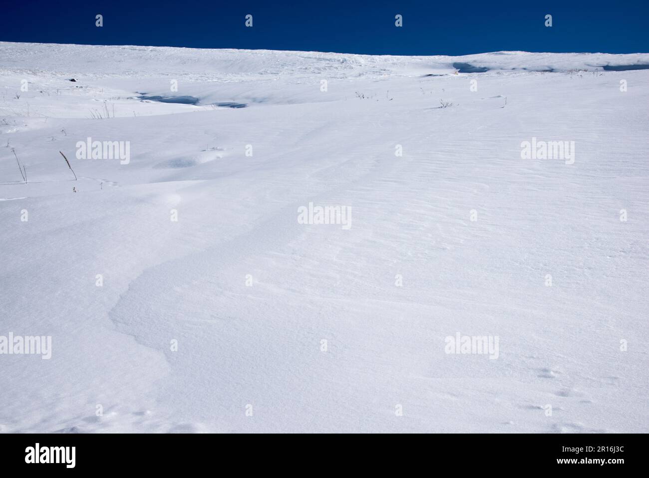 A snowfield on the Kirigaminekogen highlands Stock Photo - Alamy
