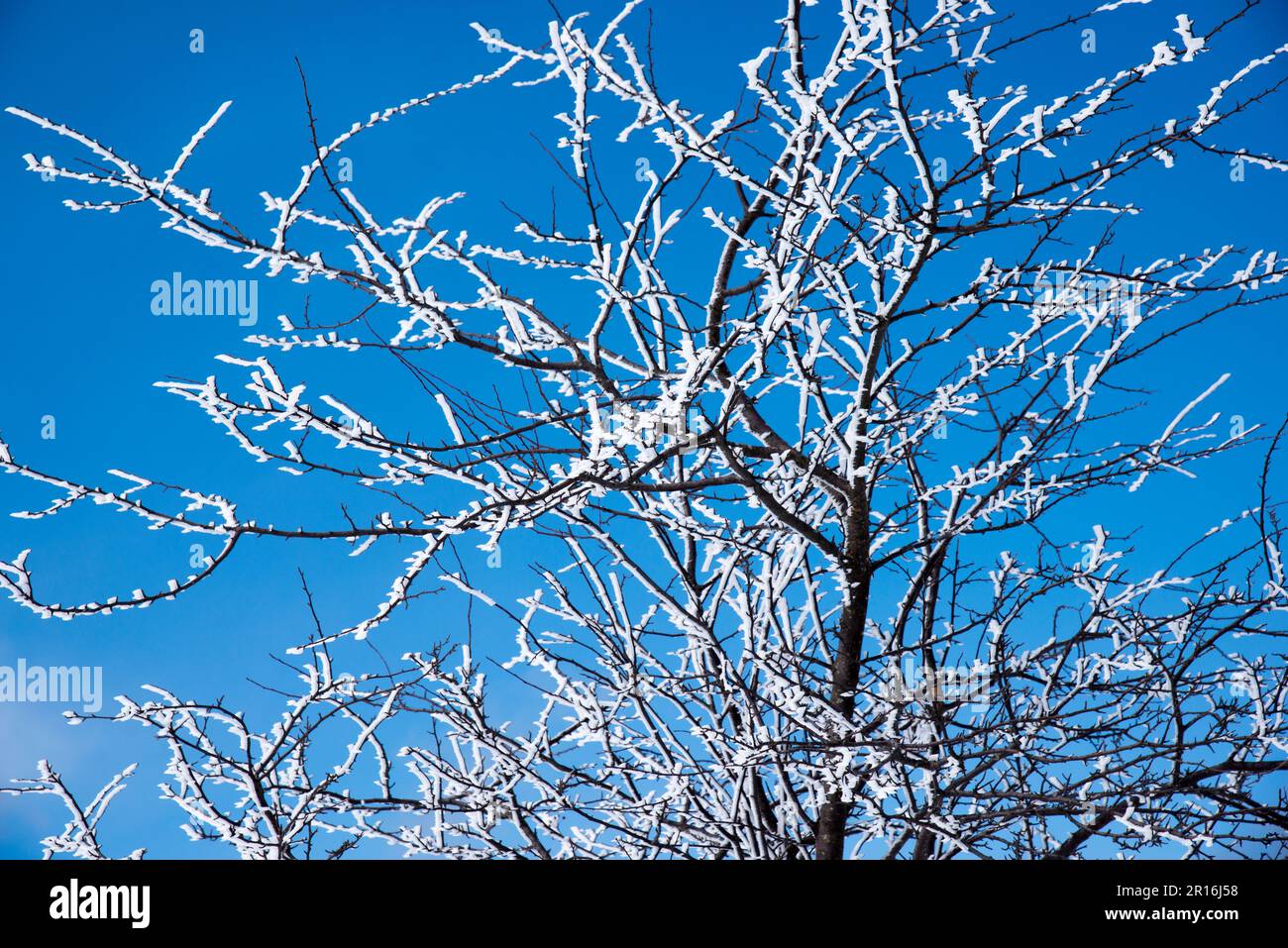 List of national parks of branch hi-res stock photography and images ...