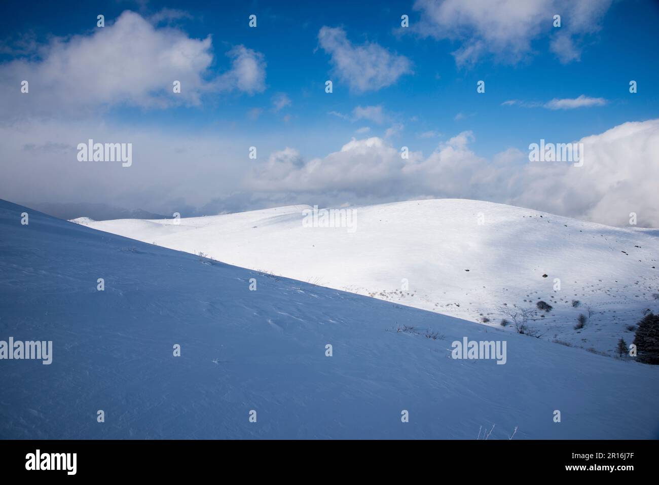 Cold plateau hi-res stock photography and images - Alamy