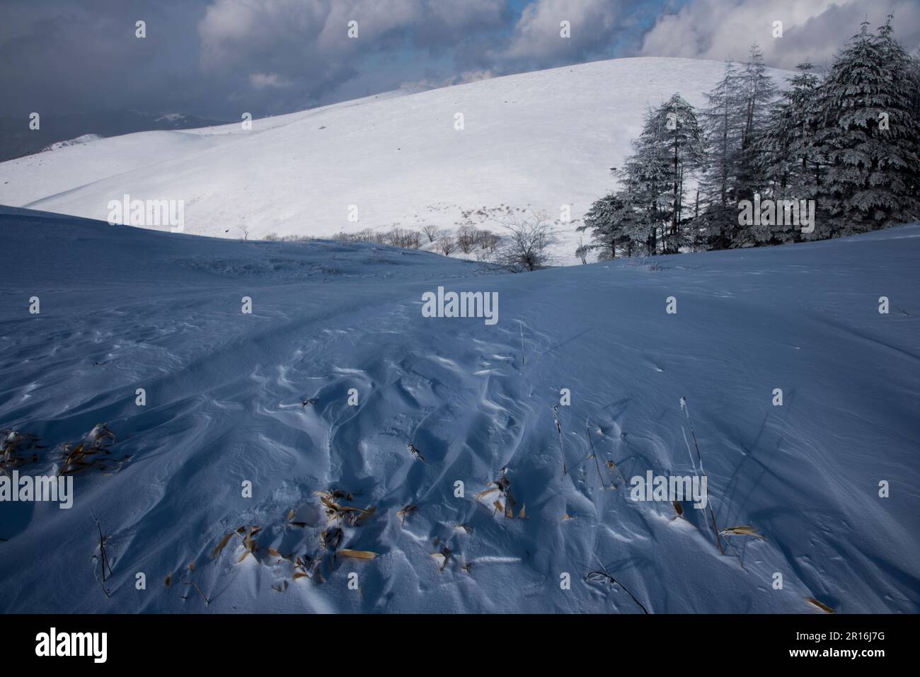 Cold plateau hi-res stock photography and images - Alamy