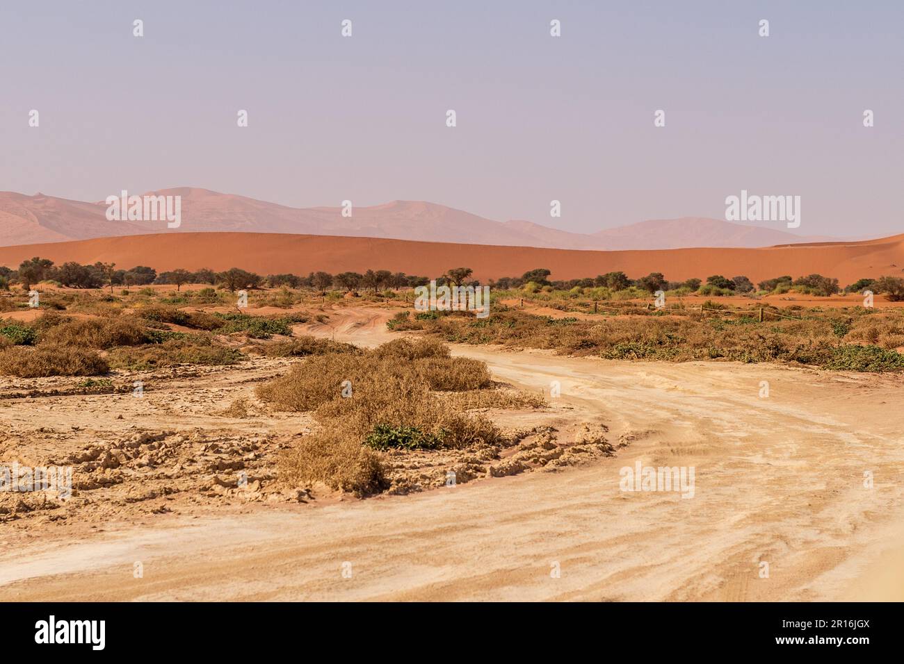 Impression of the massive sanddunes that comprise the Sossusvlei of ...