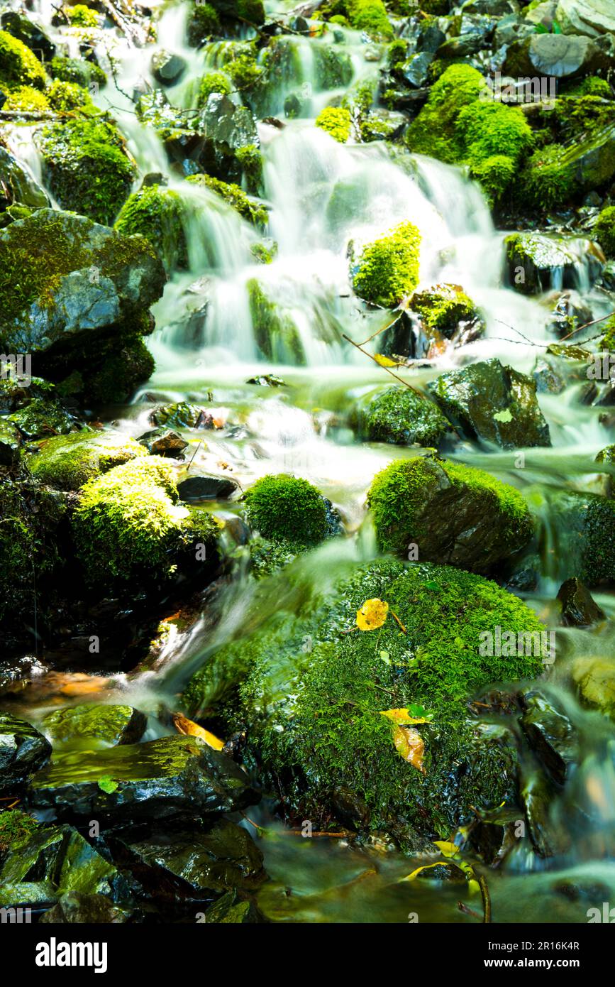 Subterranean water flow hi-res stock photography and images - Alamy