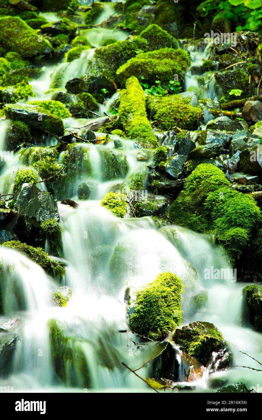 Subterranean water flow hi-res stock photography and images - Alamy