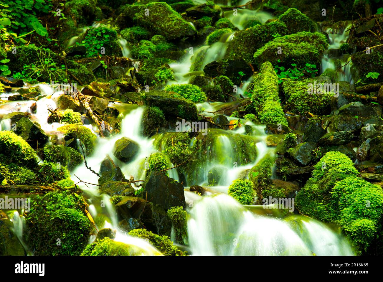 Subterranean water flow hi-res stock photography and images - Alamy