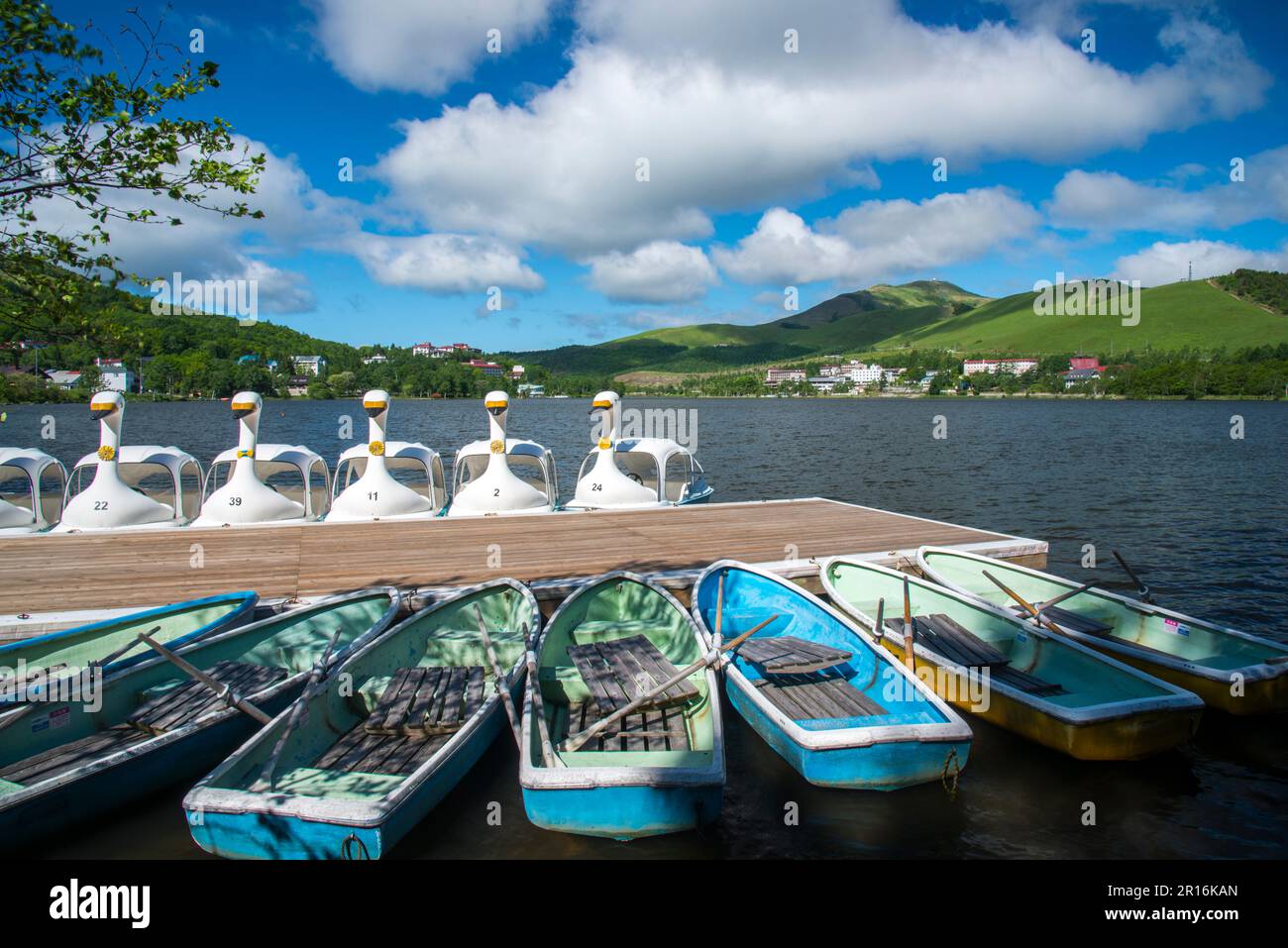 See shirakaba hi-res stock photography and images - Alamy