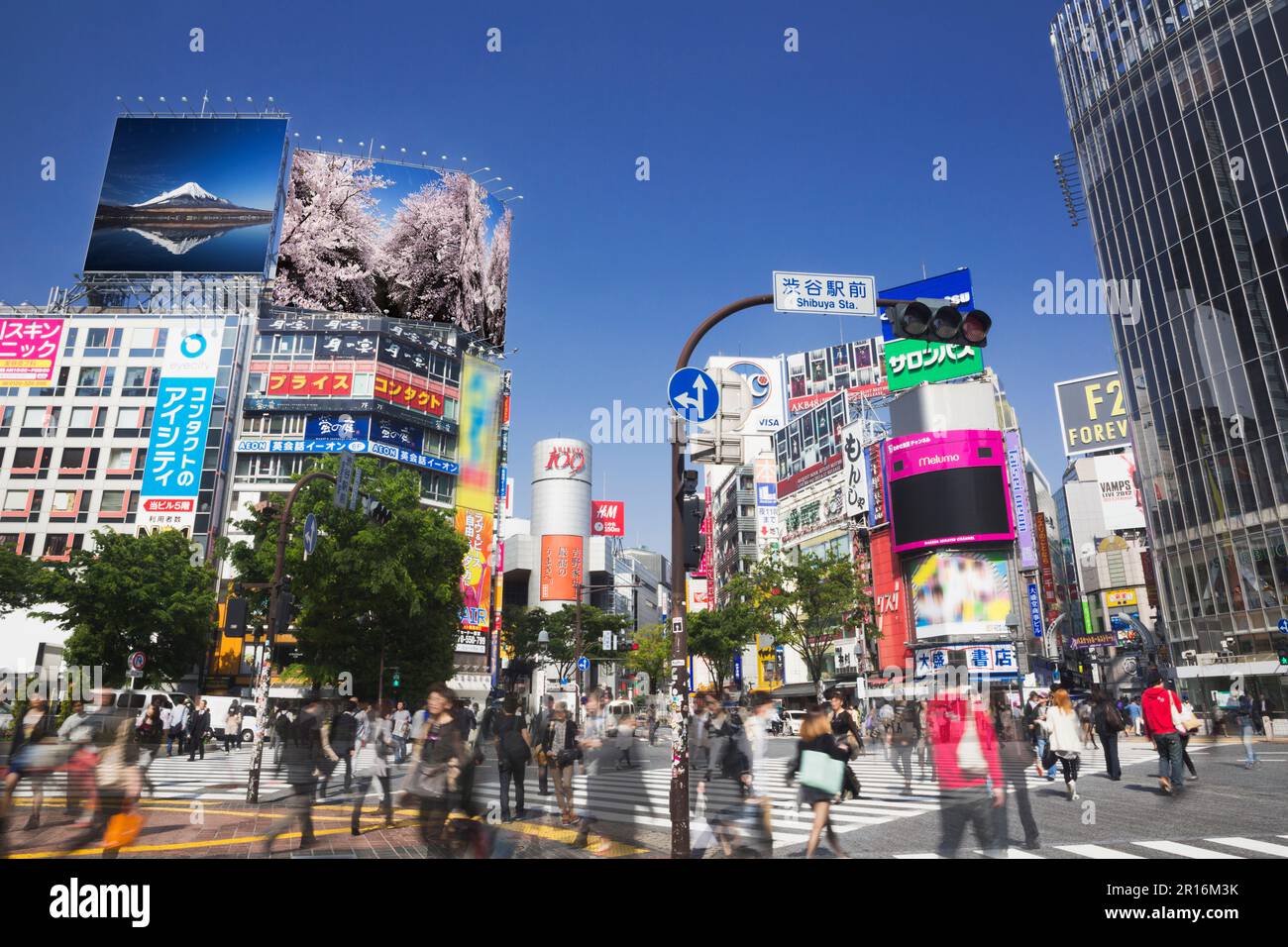 Shibuya scramble crossing Stock Photo - Alamy