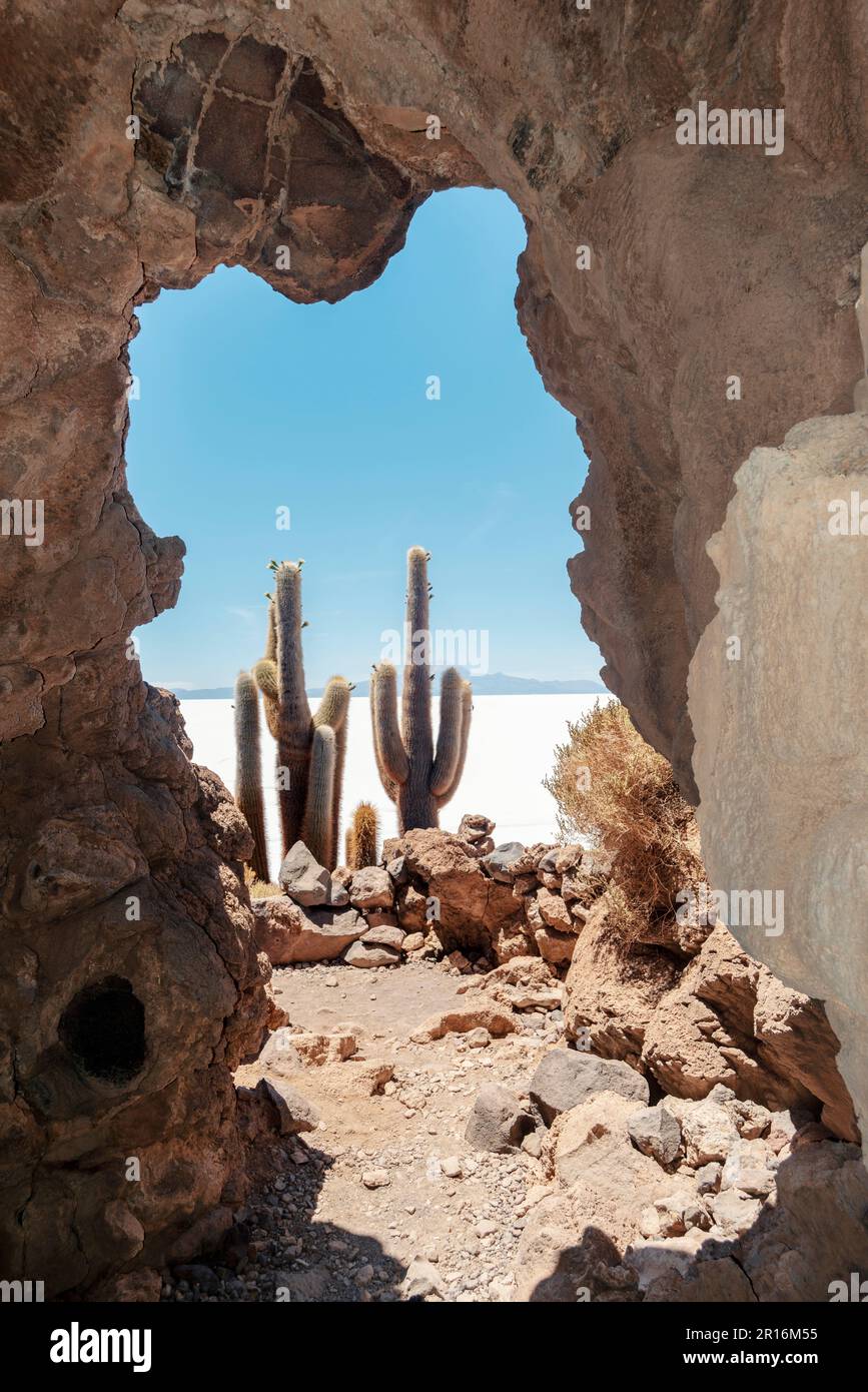 Volcanic rock salt hi-res stock photography and images - Alamy
