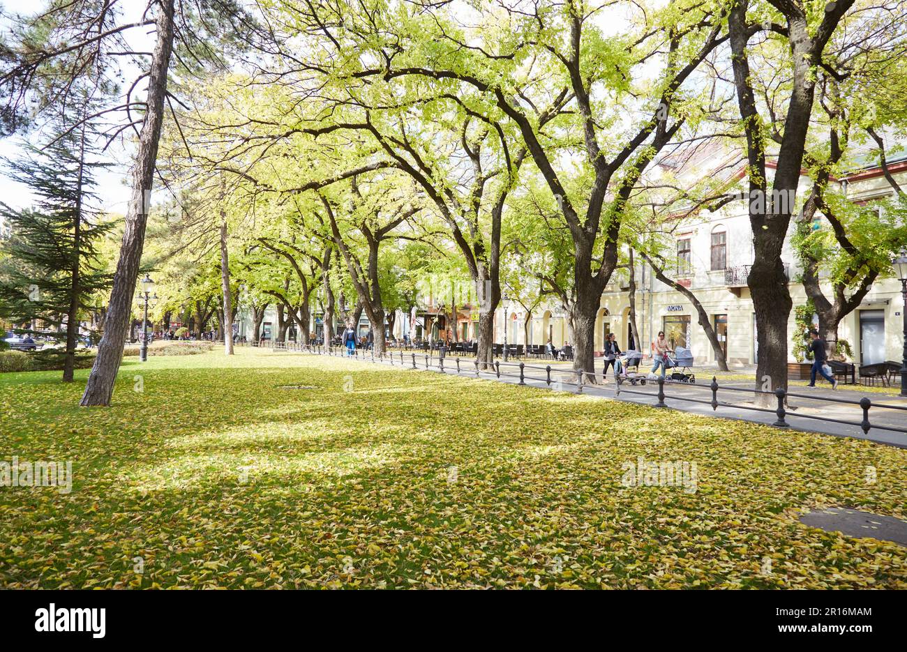Subotica in northern Serbia is famous for its stunning Art Nouveau and ...