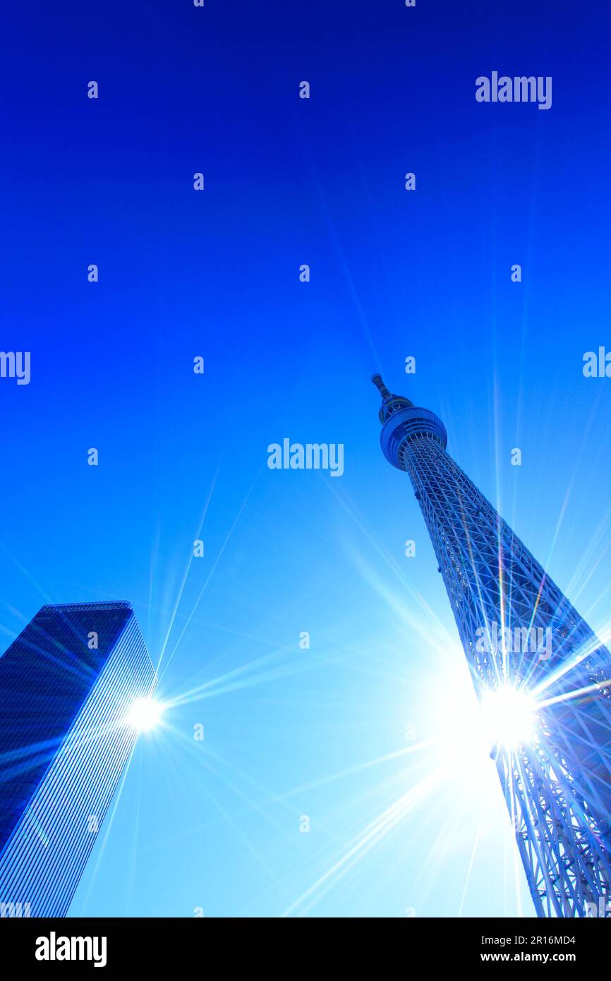Glow of the sun and Tokyo Sky Tree Stock Photo - Alamy
