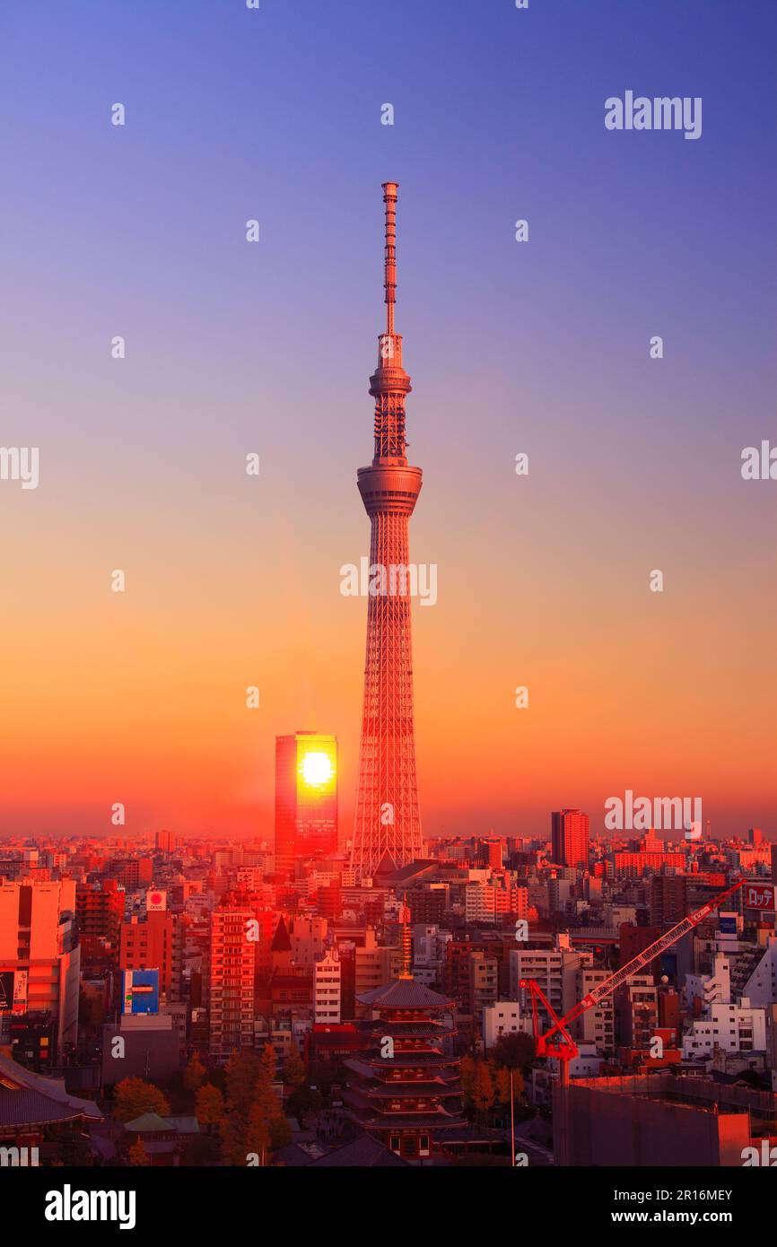 Cityscape of Asakusa and Tokyo Sky Tree and reflection of the sunset ...