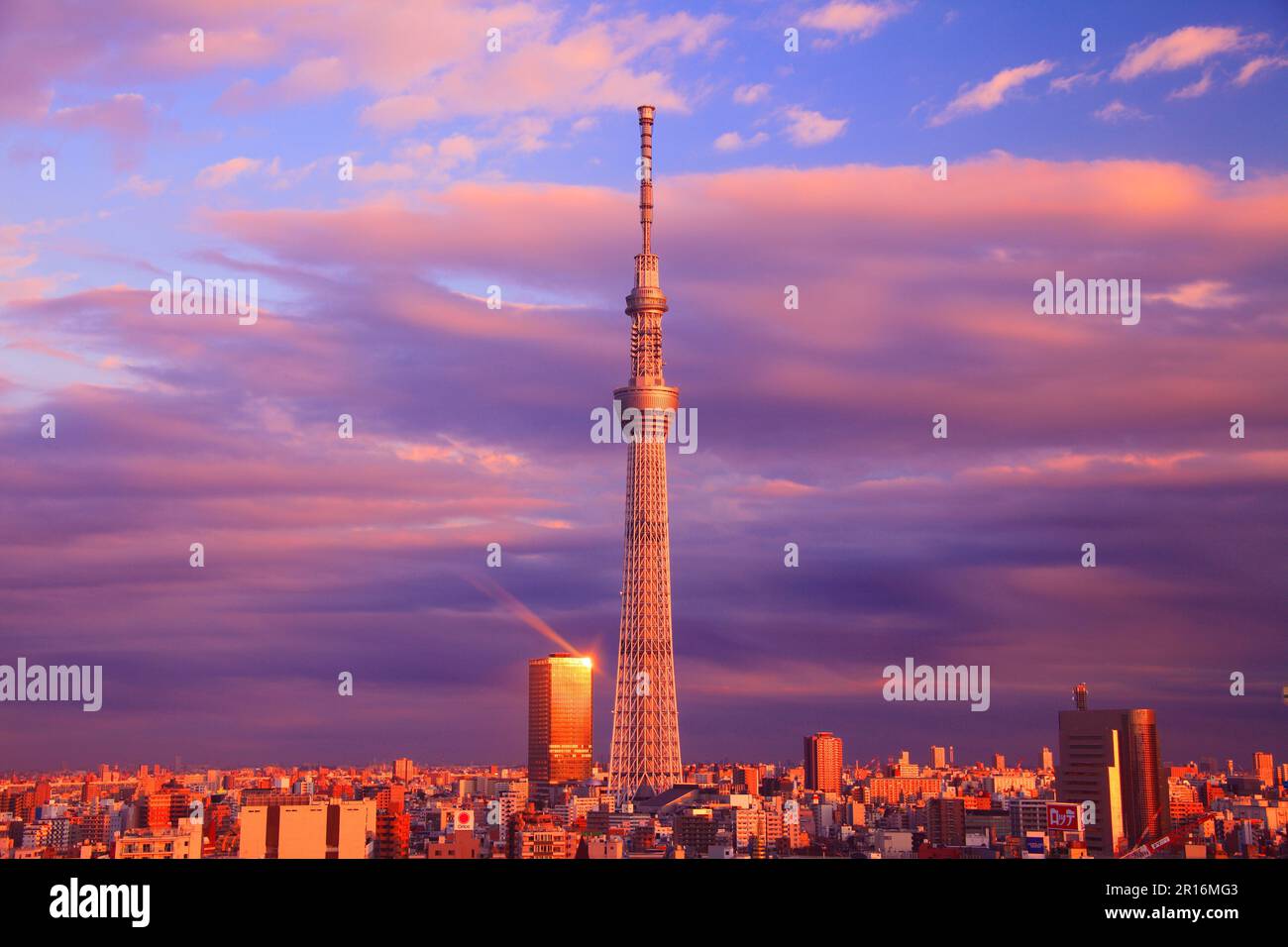 Sunset reflected in Tokyo Sky Tree Stock Photo - Alamy