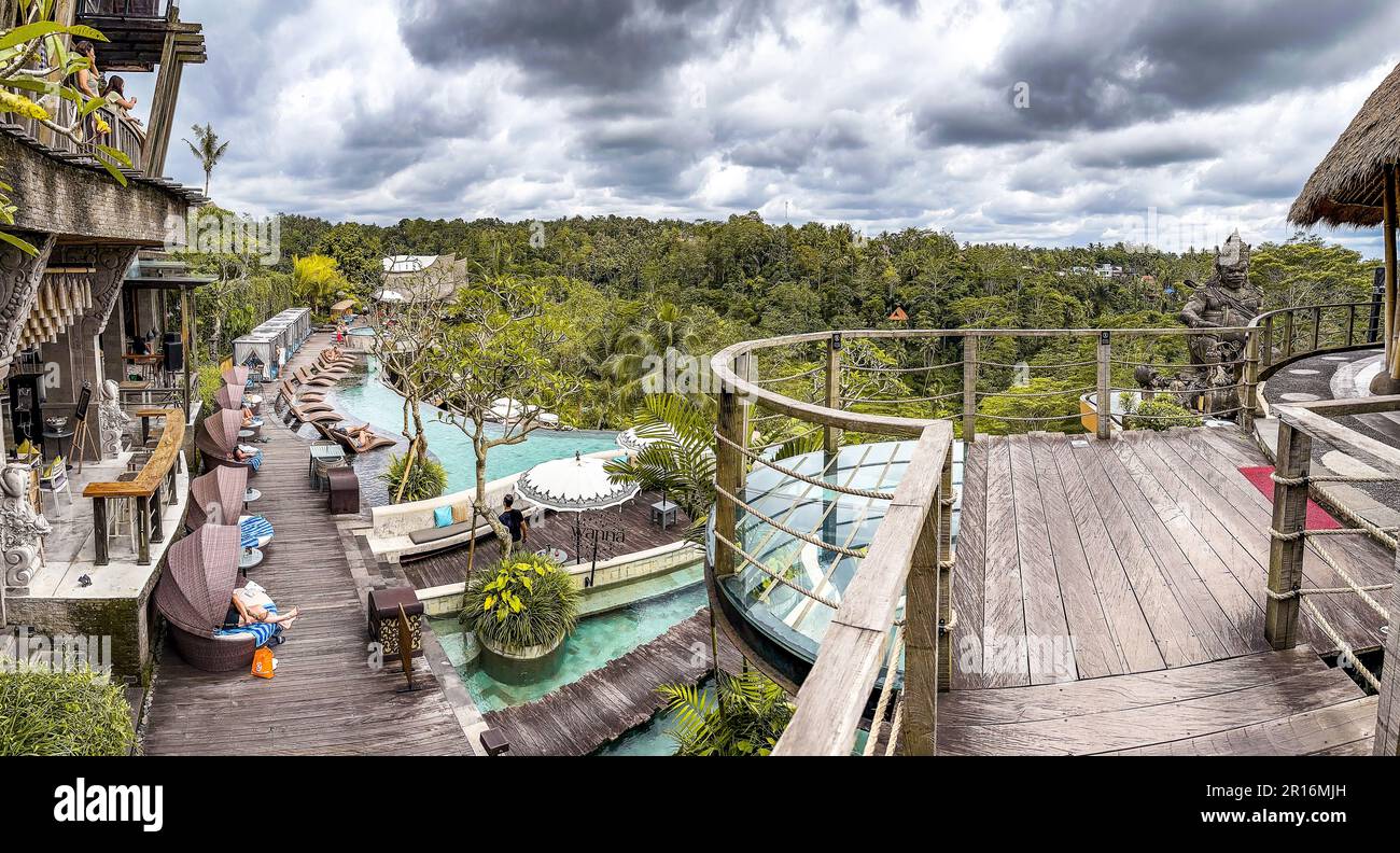 Jungle pool and bar overlooking rice terraces in Ubud, Bali, Indonesia ...