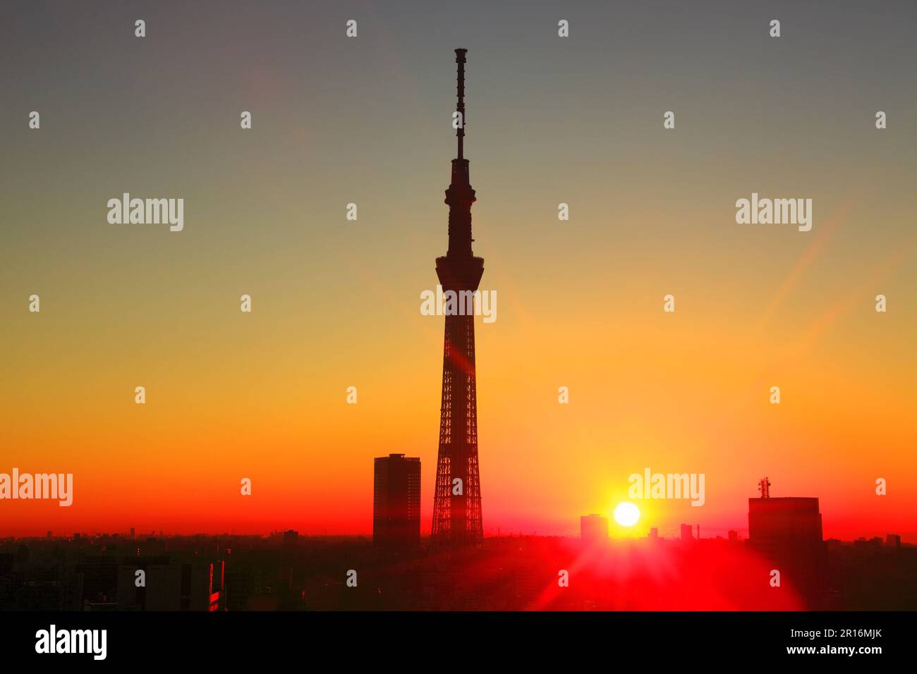 Morning sun and Tokyo Sky Tree Stock Photo - Alamy