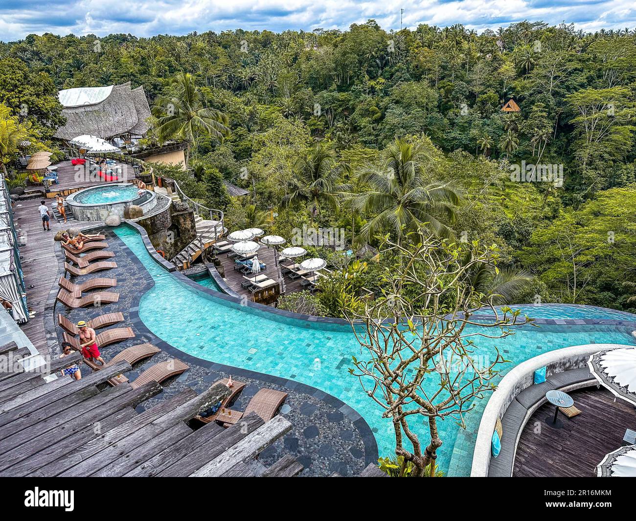 Jungle pool and bar overlooking rice terraces in Ubud, Bali, Indonesia ...