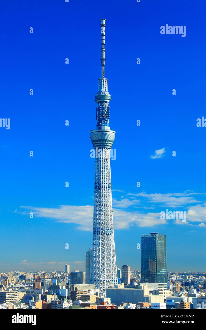Tokyo Sky Tree Stock Photo - Alamy