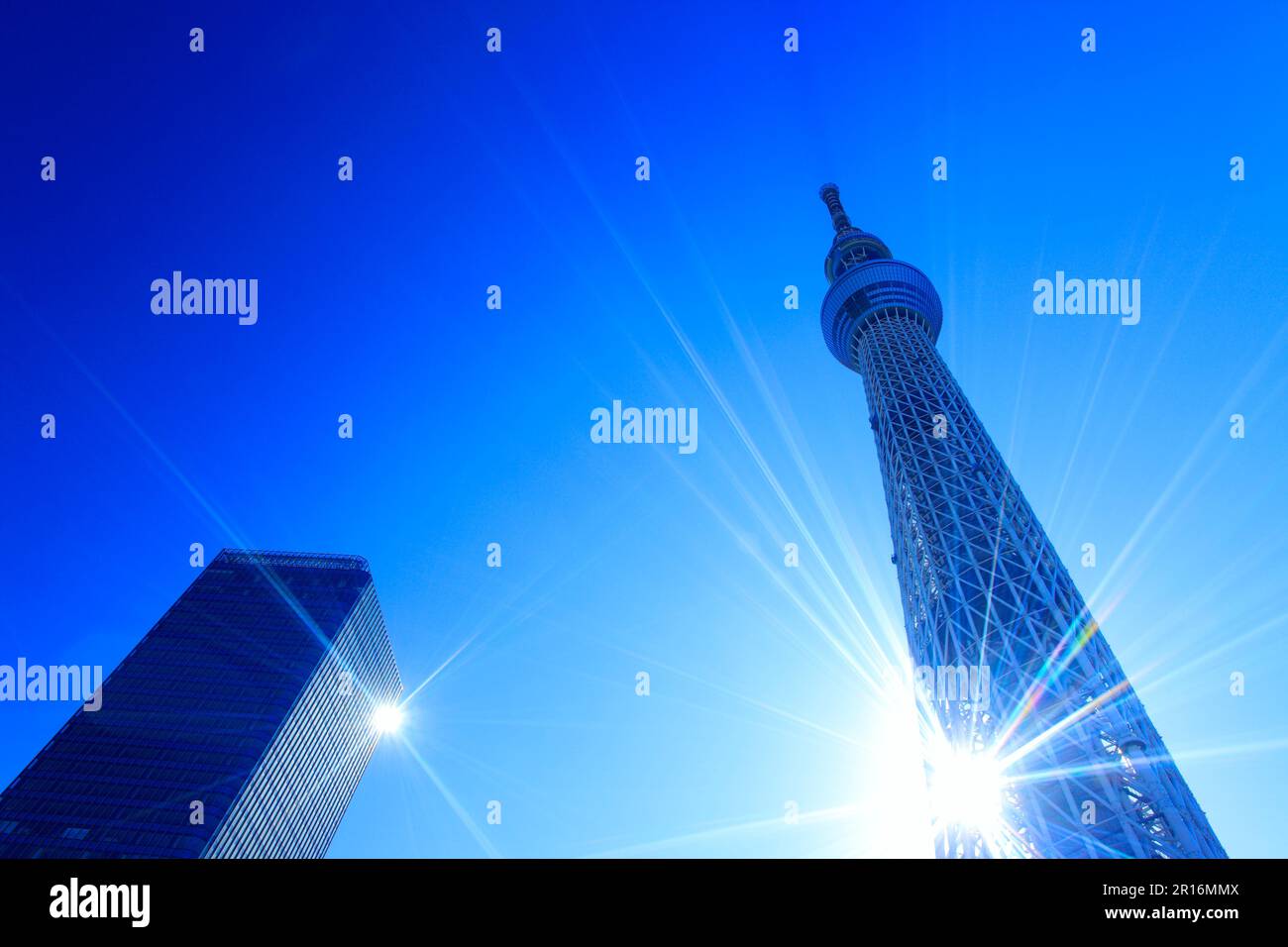 Glow of the sun and Tokyo Sky Tree Stock Photo - Alamy