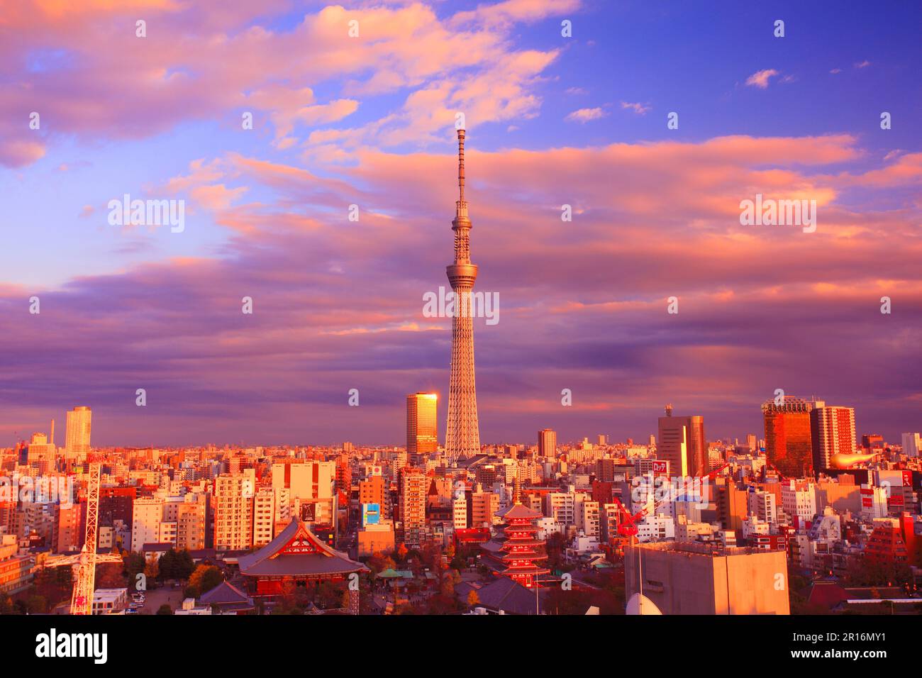 Cityscape of Asakusa and Tokyo Sky Tree and reflection of the sunset ...