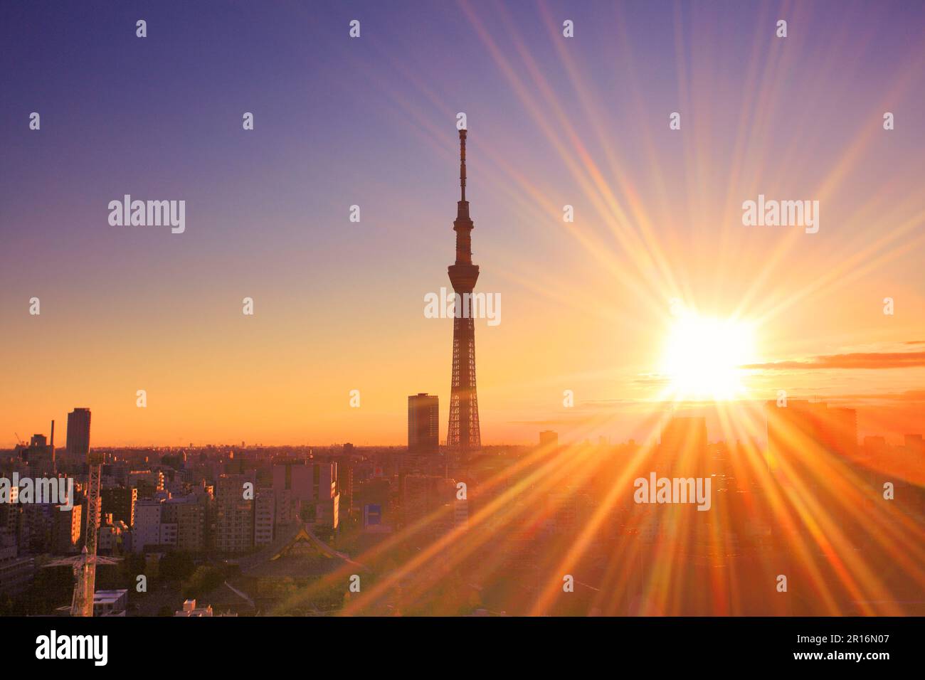 Morning sun and Tokyo Sky Tree Stock Photo - Alamy