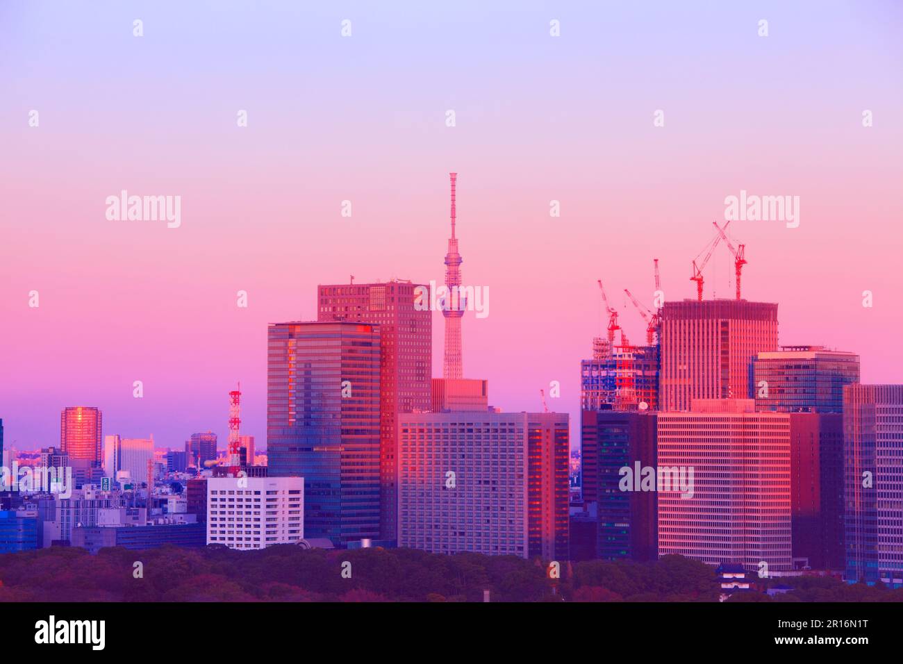 Tokyo Sky Tree and skyscrapers of Marunouchi colored by the sunset ...