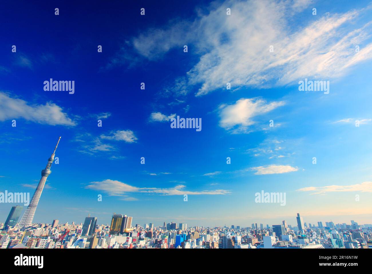 Buildings such as the Sumida Ward Office and Tokyo Sky Tree Stock Photo ...