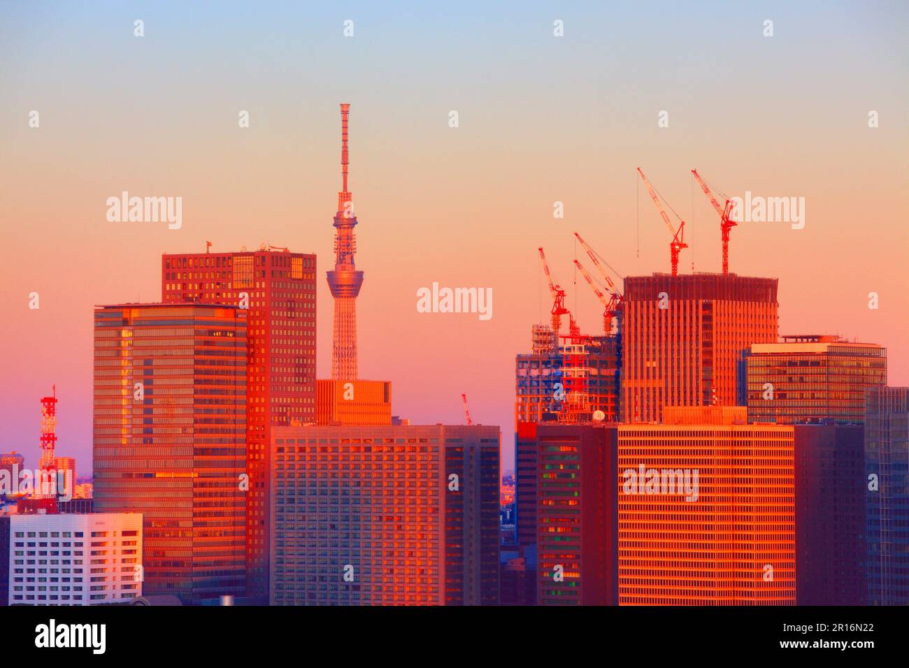 Tokyo Sky Tree and skyscrapers of Marunouchi colored by the sunset ...
